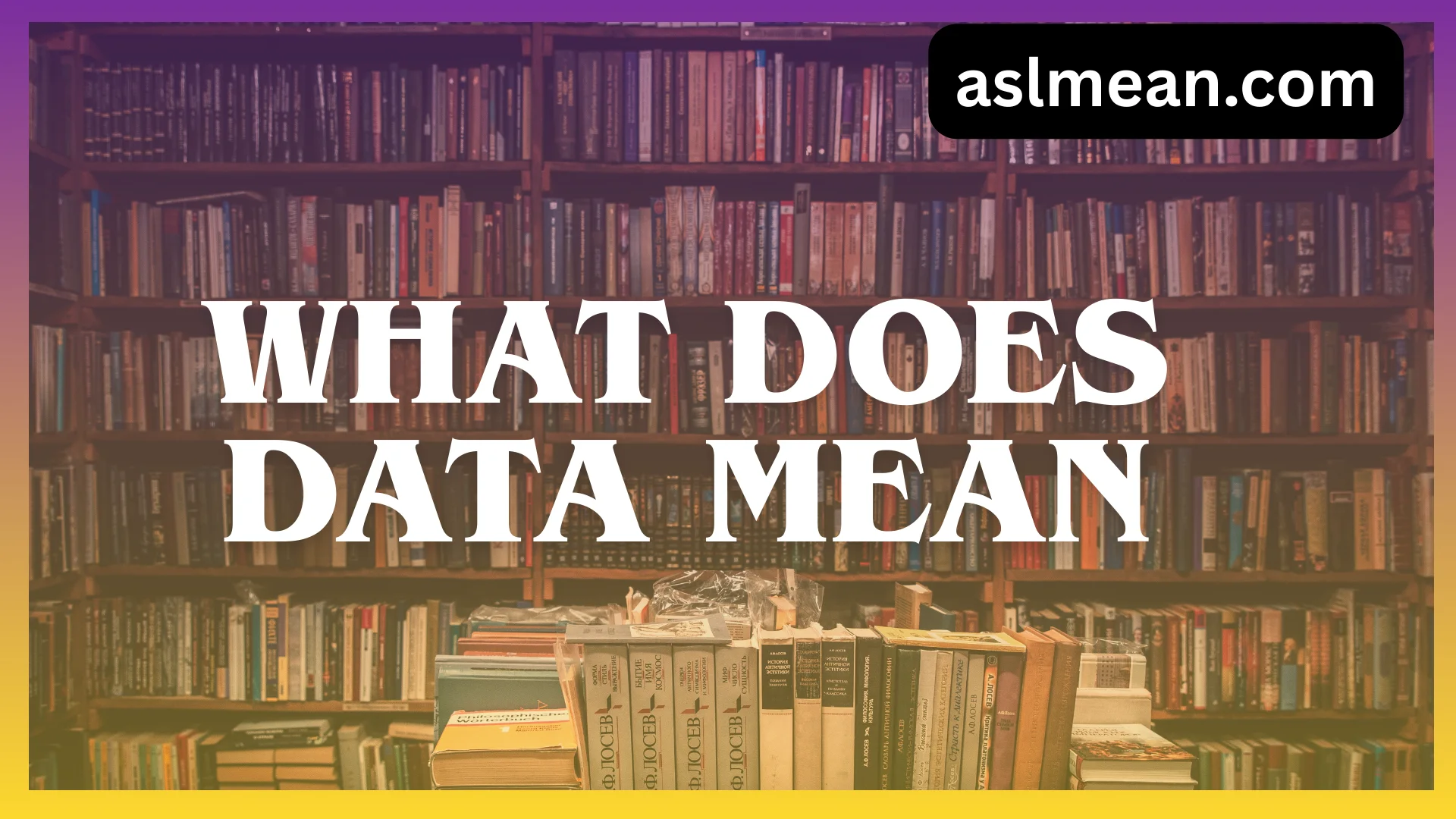 What Does Data Mean? A Simple, Real-Life Guide to Understanding Data in ...