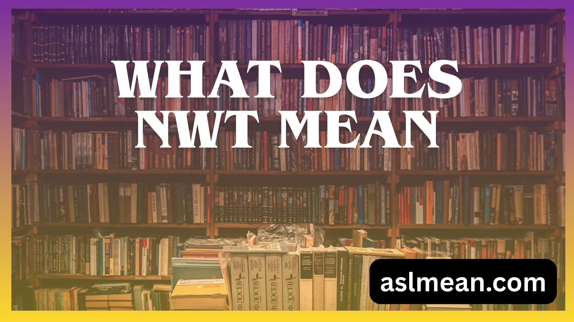 What Does NWT Mean? Origin, Slang Uses, and How People Use It Today